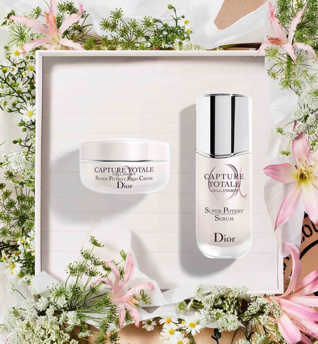 LOS SERVICIOS DIOR.COM | DIOR