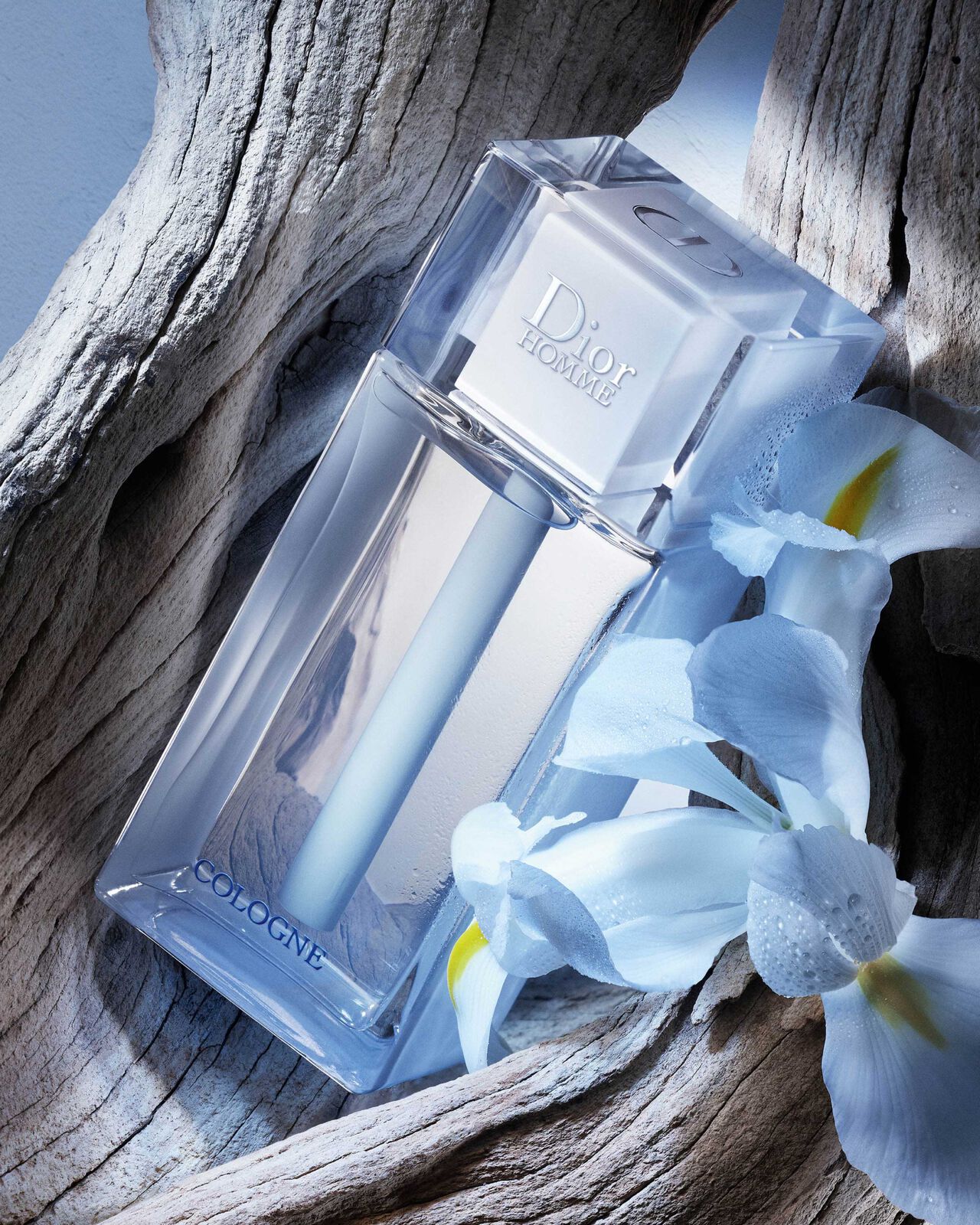 Dior Homme: The Fresh, Musky Eau de Cologne for Men | Dior US