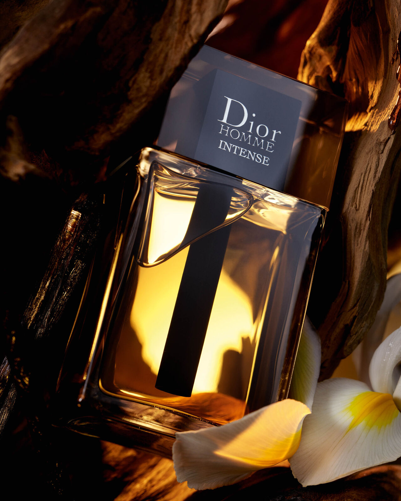 Dior Homme Intense: Eau de Parfum intense | Dior