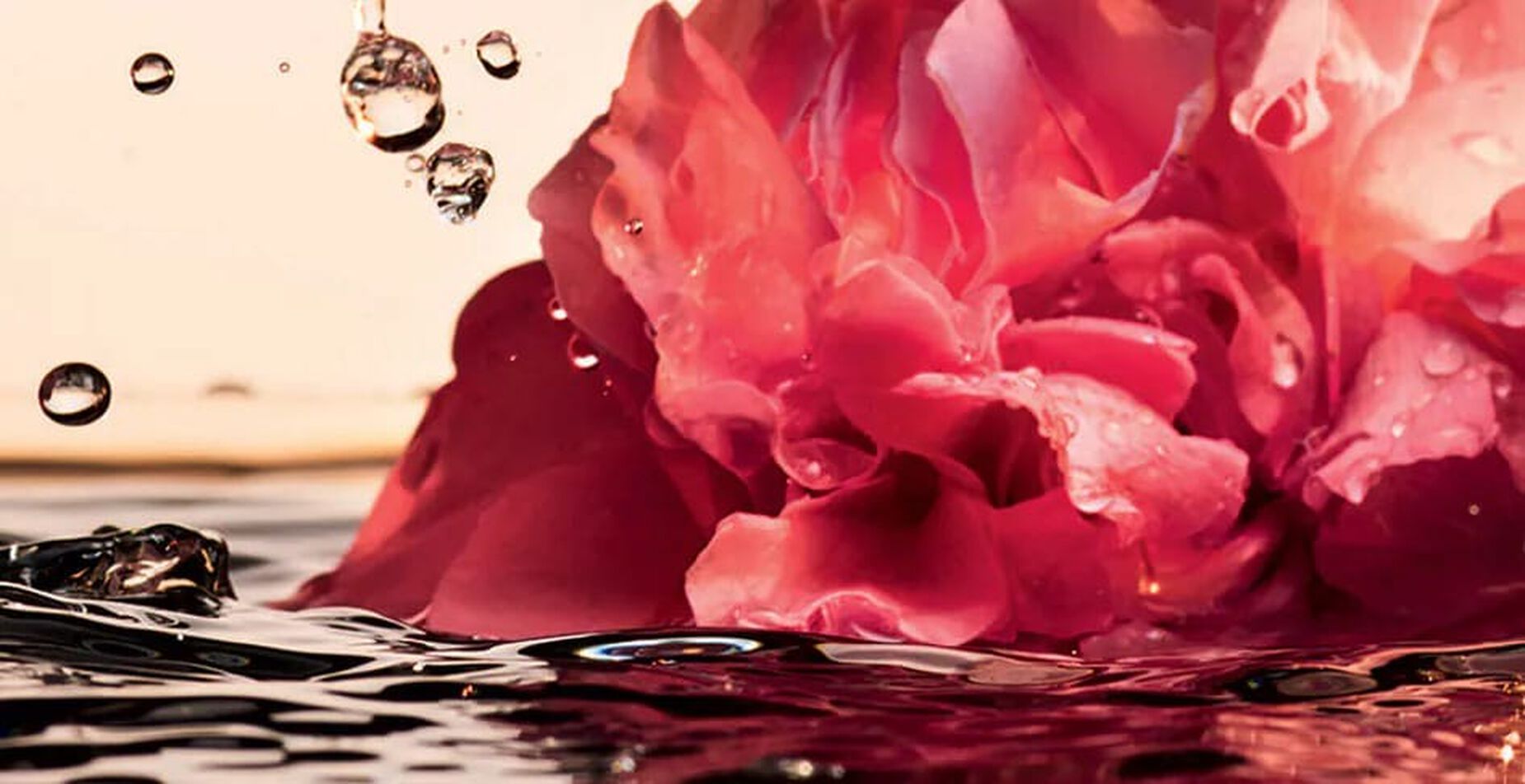 Evocative and intense, these fragrances evoke scenes from a Warm dream ...