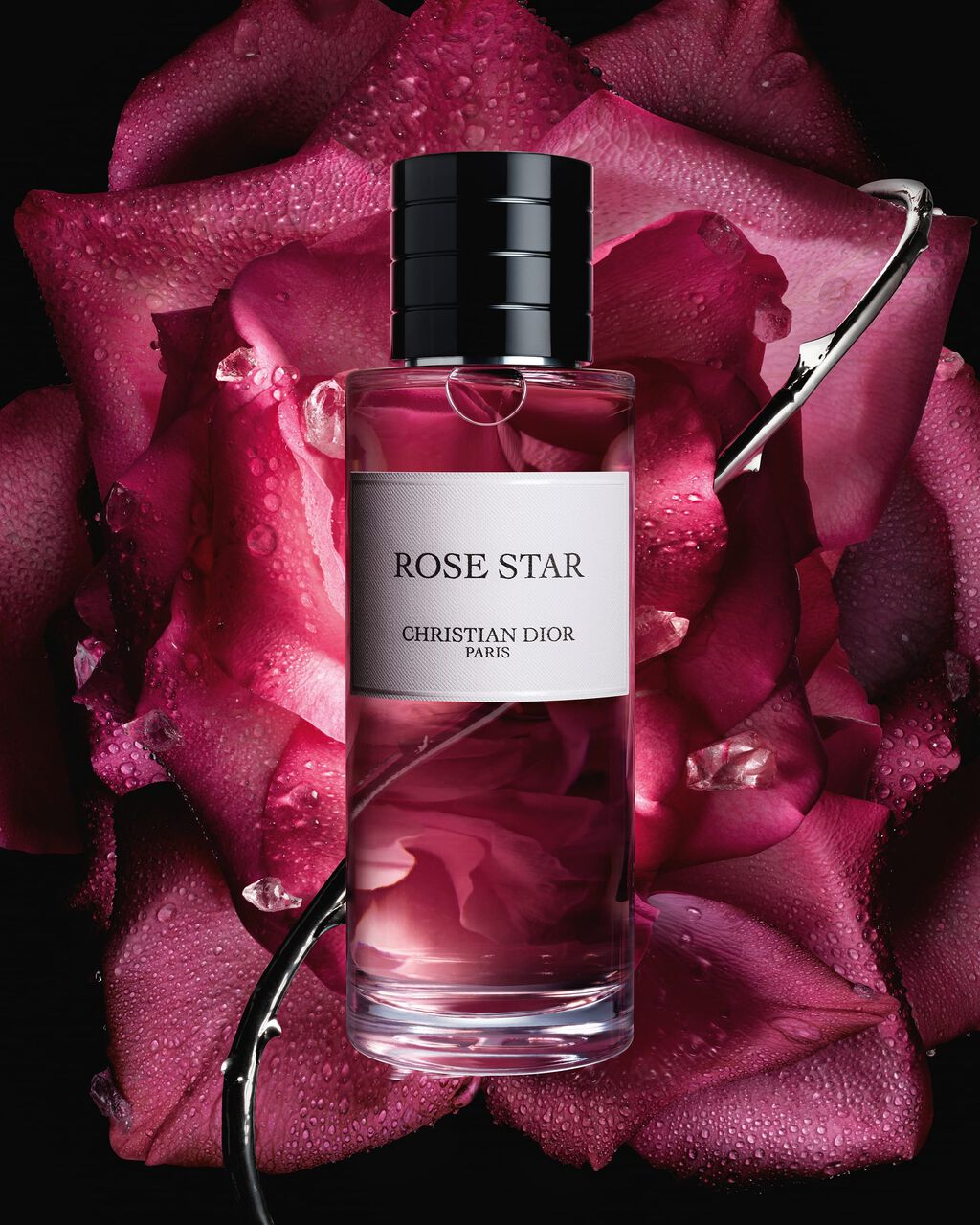Rose Star: Ambery Floral Eau de Parfum for Women and Men | DIOR US