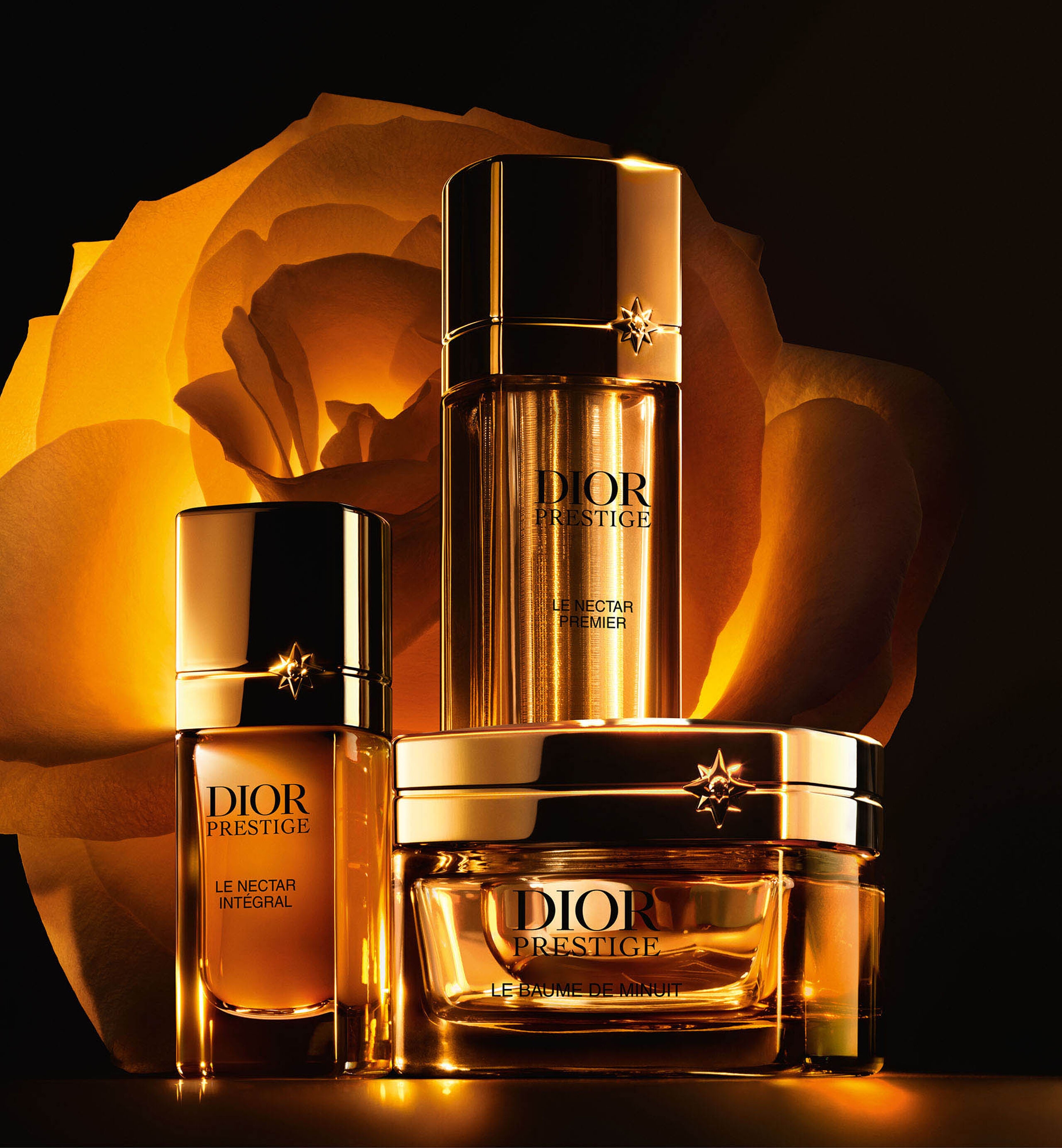 Miss Dior: Dior Eau de Parfum with a Couture Bow | DIOR UK