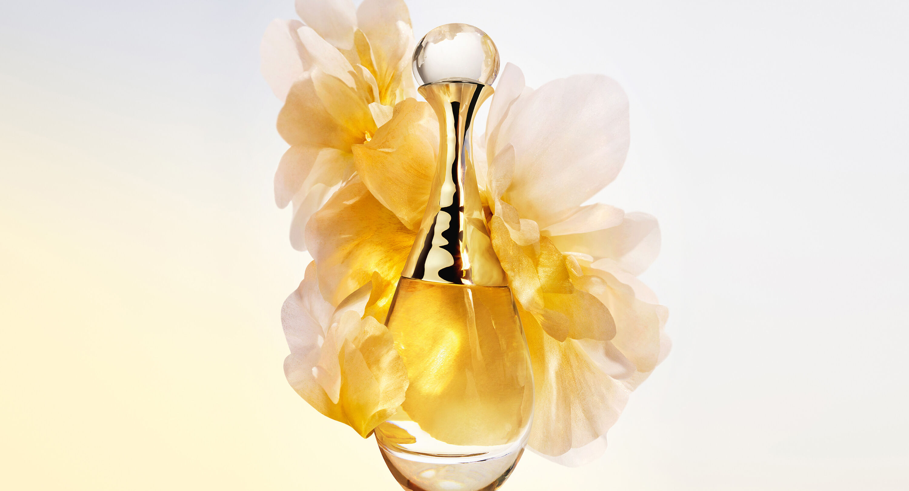La Collection Privee Dioriviera Limited Edition Fragrance | DIOR CA