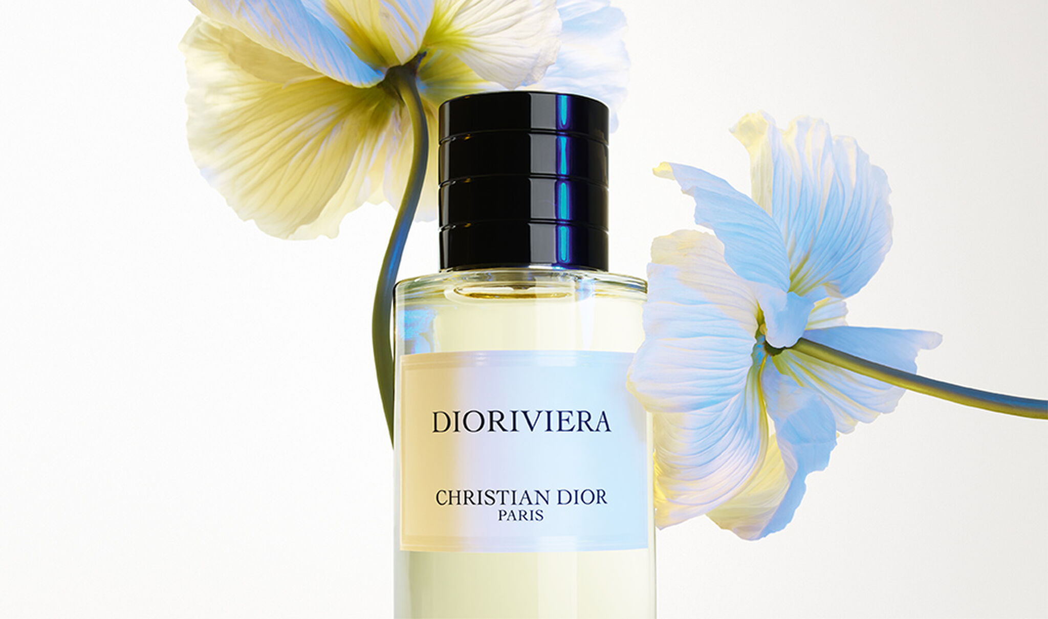 Miss Dior Blooming Bouquet Eau de Toilette si reinventa | DIOR IT