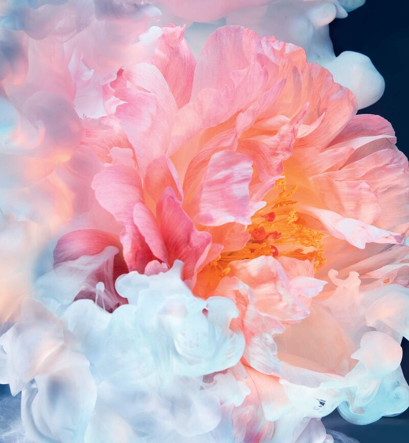 JOY by Dior Eau de Parfum Intense: a fragrance concentrated in joy ...